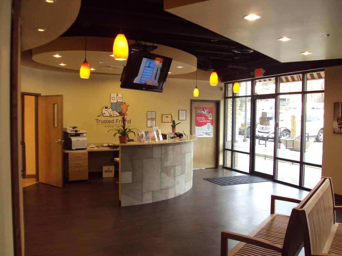 Give a Friendly Reception with High-quality Reception Chairs – Farda Blog